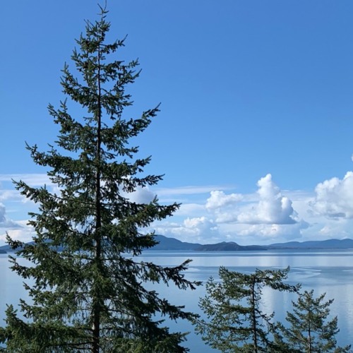 Stream Devin Reynolds | Listen to The Evergreen Empire playlist online ...