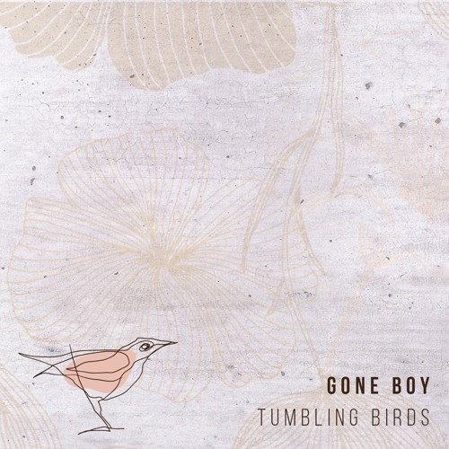 Stream Tumbling Birds by Gone Boy | Listen online for free on SoundCloud