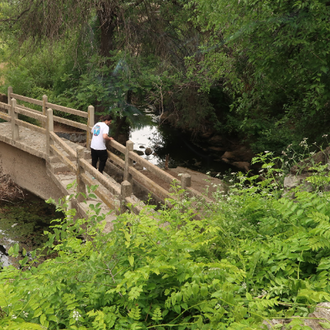 Stream Slow it down Slyy Cruz Master by Slyy Cruz | Listen online for ...