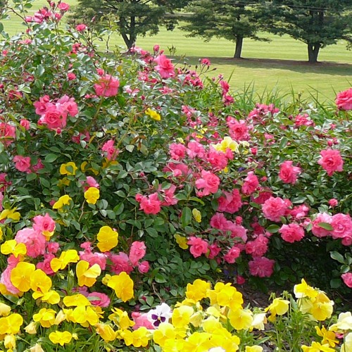 Stream Hard Spring by Ron Barwick Music | Listen online for free on ...