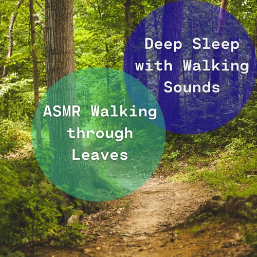 Stream ASMR Calming Forest Footsteps by ASMR Walking through Leaves ...