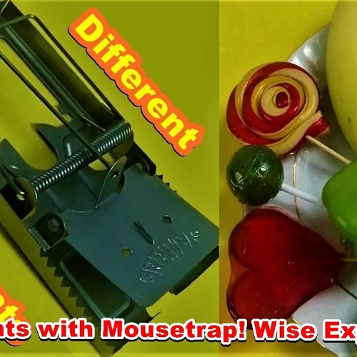 Stream Experiments with Mousetrap! Wise Experiments by Atalay demir ... Stream Experiments with Mousetrap! Wise Experiments by Atalay demir ...