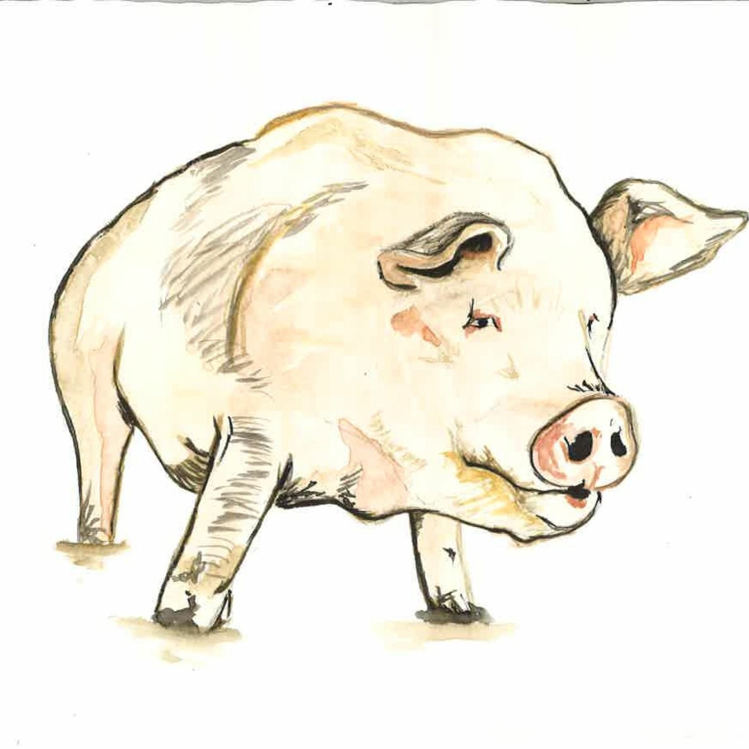 Stream episode The Pig by Roald Dahl by Alistair McMillan podcast ...