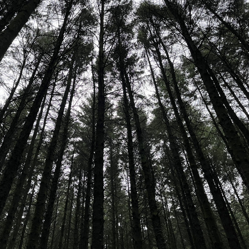 Stream A Trunk Full Of Dead Bodies – The Hard Part Wasn't Getting Over ...