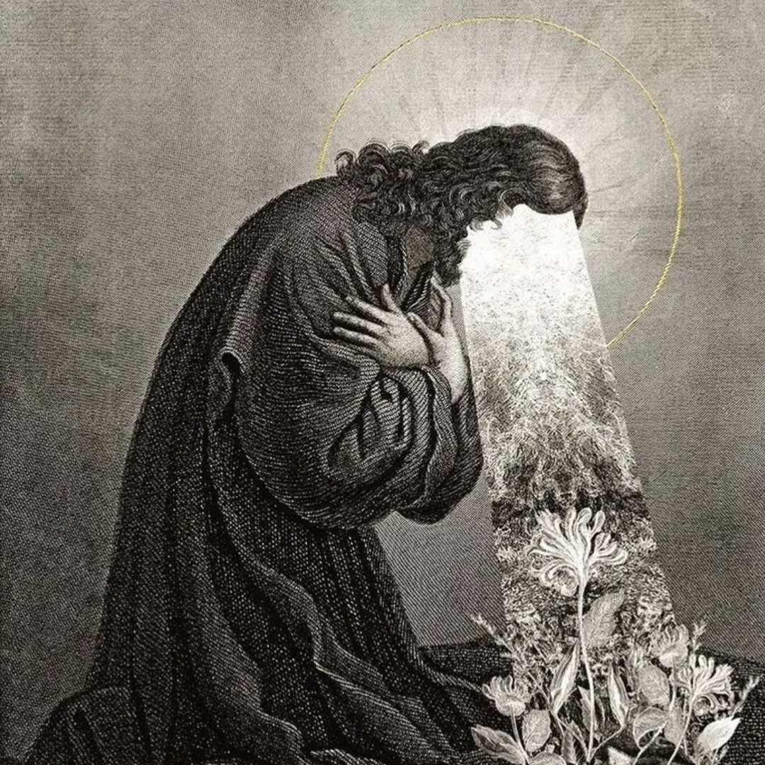 Stream Ave christus rex by Grey9 | Listen online for free on SoundCloud