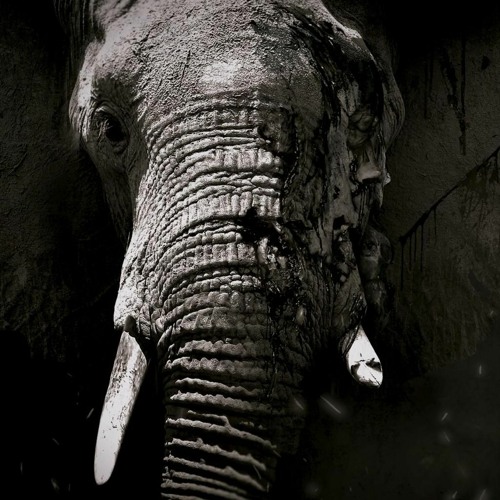 Stream The Last of Man DEMO VERSION by Elephant CL | Listen online for ...
