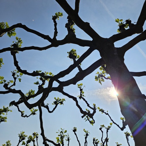 Stream Ingo Sänger @ June 2024 by Ingo Sänger | Listen online for free ...