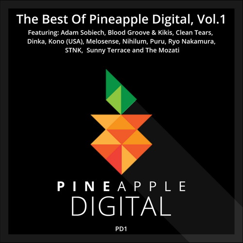 Stream Together (Original Mix) by Pineapple Digital Music | Listen online for free on SoundCloud