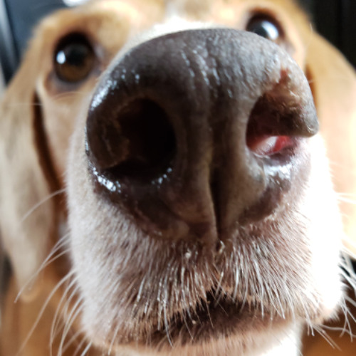 Stream 80 from the 80s #2 by shorty391 | Listen online for free on SoundCloud