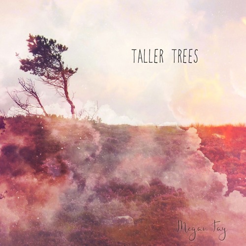 Stream taller trees by Megan Fay | Listen online for free on SoundCloud
