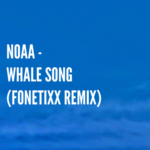 Stream NOAA - Whale Song (Fonetixx Remix) by Fonetixx | Listen online ...