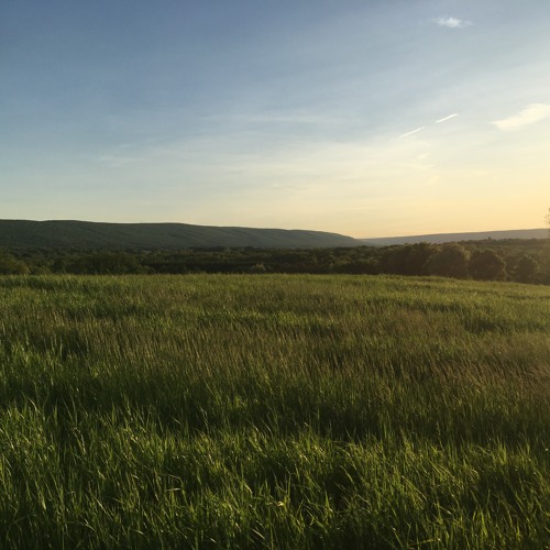 Stream The Lord Is My Shepherd by Ben Burkholder | Listen online for ...