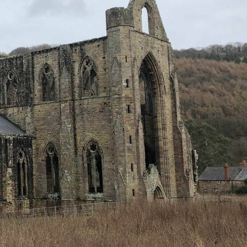 Stream Citadel of Orlan - Legend of Zelda: Ocarina of Time by tahutoa ...