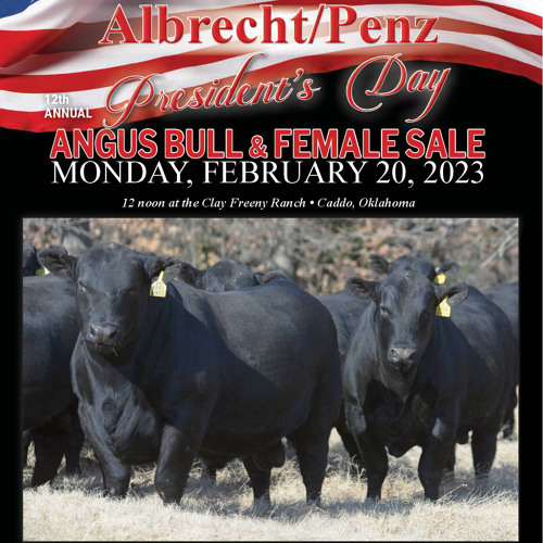Stream The Herd Report - Albrecht Penz Angus Bull & Female Sale by ...