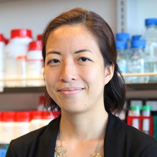 Stream Nozomi Ando: ASBMB Mildred Cohn Young Investigator Award by ...