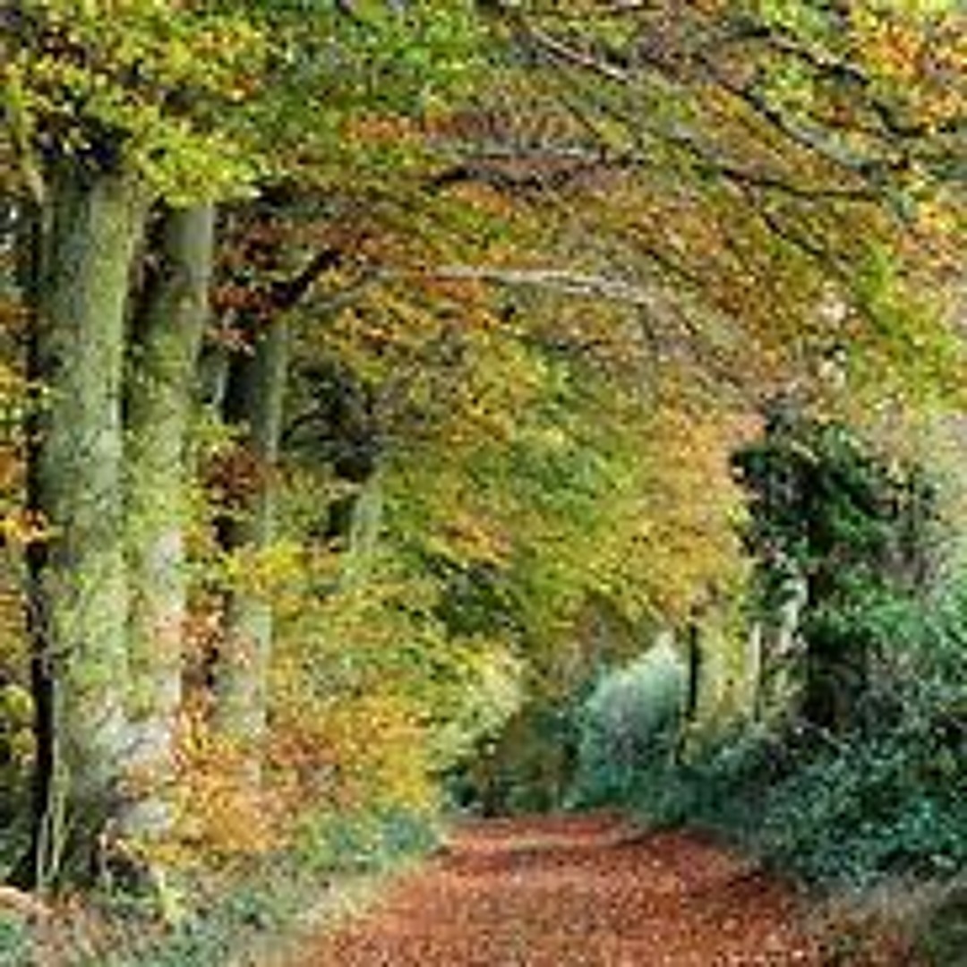 Stream DJ Sjoerd Feyen @ Autumn mix 2023 by DJ Sjoerd Feyen | Listen ...