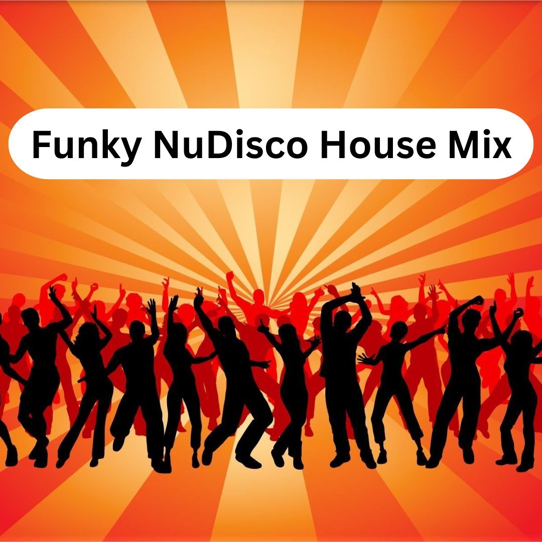 Stream Funky Nu-Disco House Mix ( February 2025 ) by Paul Guy | Listen online for free on SoundCloud