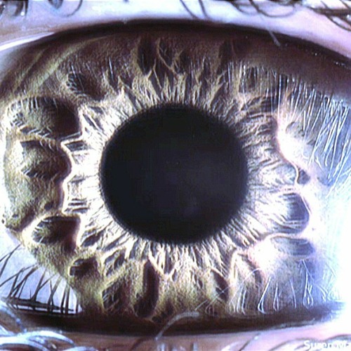 Stream Dilemma by Morri | Listen online for free on SoundCloud