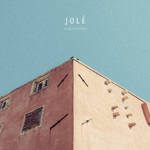Stream Flightless Bird By Jolé Listen Online For Free On Soundcloud