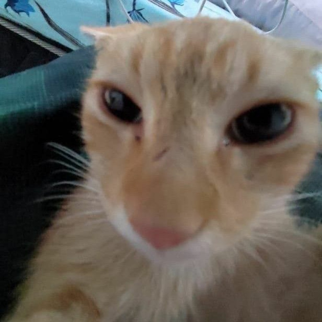 Stream Tae | Listen to super gacha phase playlist playlist online for ...