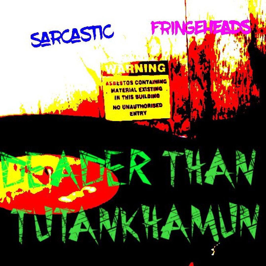 Stream Sad Times by The Sarcastic Fringeheads | Listen online for free ...