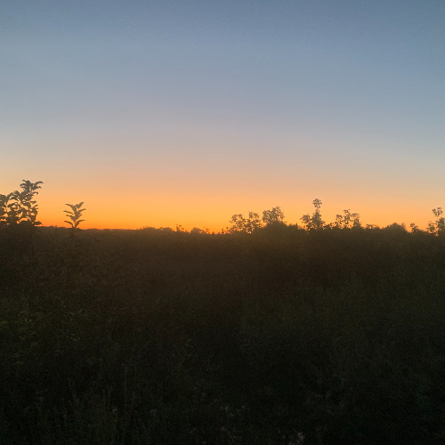 Stream serenity by ryegate | Listen online for free on SoundCloud