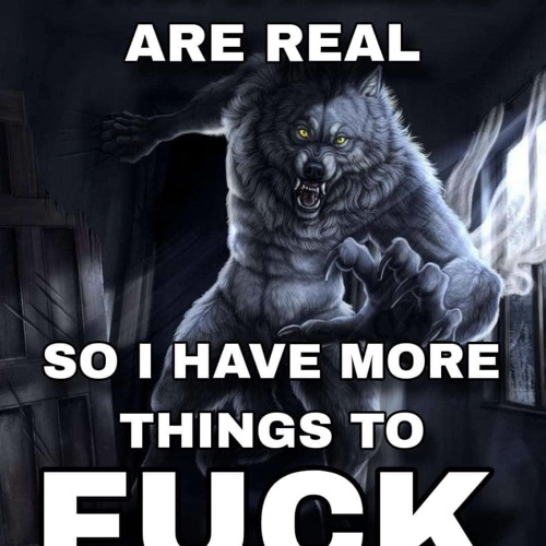 Hardcore Insanity Wolf Meme