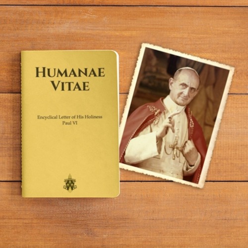 Stream Heisa rond Humanae Vitae - 20230519 by Biofides | Listen online ...