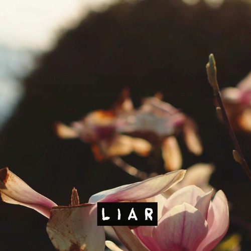 Stream [FREE] Aries x Glaive x Guitar Hyperpop Type Beat "LIAR" by ...