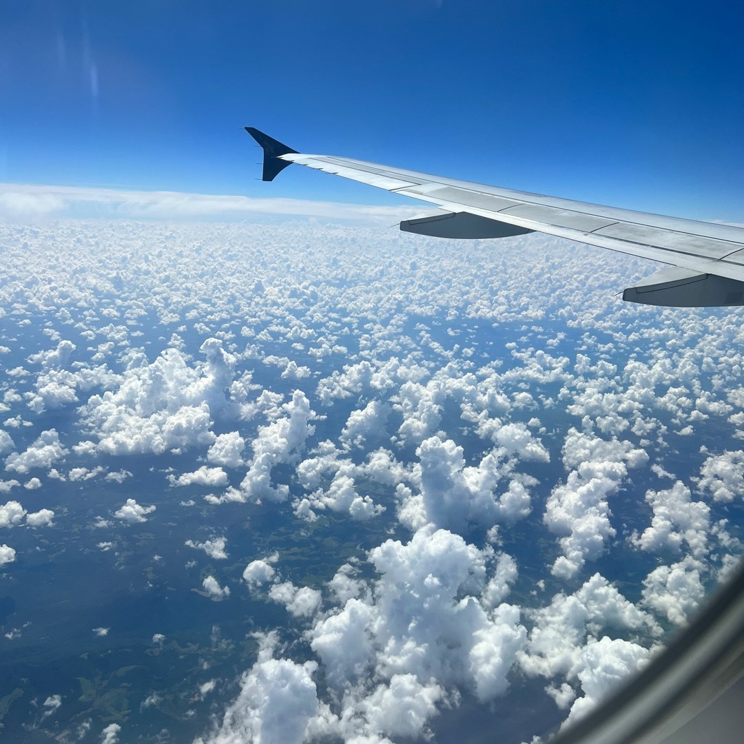 Stream 1oneam - life (prod. perc40) by perc40 | Listen online for free ...