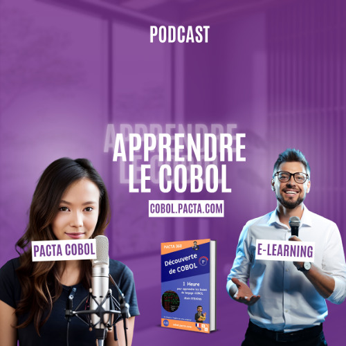 Stream episode Pourquoi apprendre le Cobol en 2025 ? Quelle formation ...