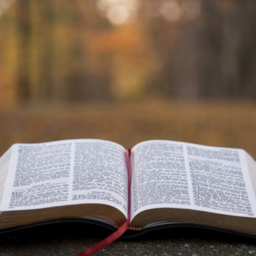 Stream Homily-02-19-2023 by Fr Jim Chern's Homilies | Listen online for ... Stream Homily-02-19-2023 by Fr Jim Chern's Homilies | Listen online for ...