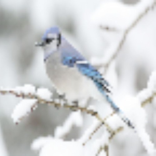 Stream death awiats (feat. DJ Nate AKA BAKA) by mrbluejay fangirl ...