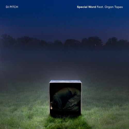 Stream DJ Pitch - Special Word (Feat Organ Tapes) by Edited Arts ...