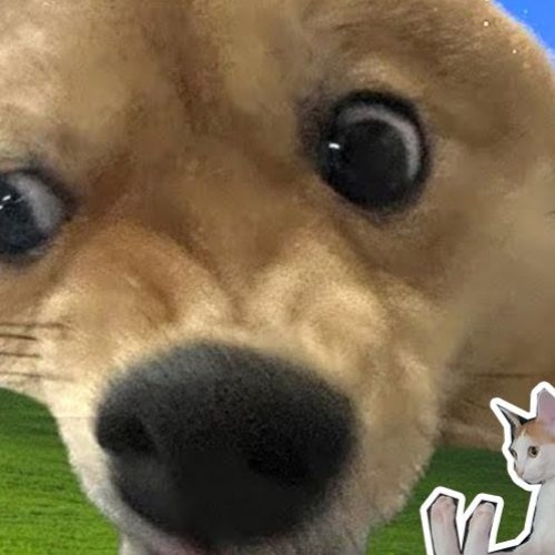 pumpyoursound.com | Dezin Pro Vip