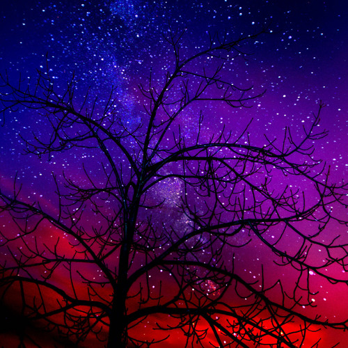 Stream unknown | Listen to My favorite playlist fr🔥 playlist online for ...