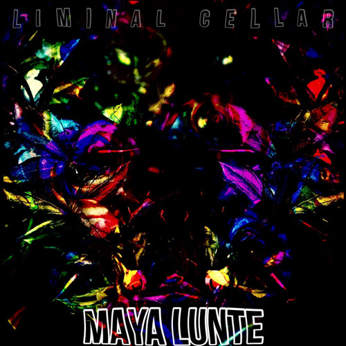 Stream dr.magicfly | Listen to Liminal Spaces - LIMINAL CELLAR - Maya ...