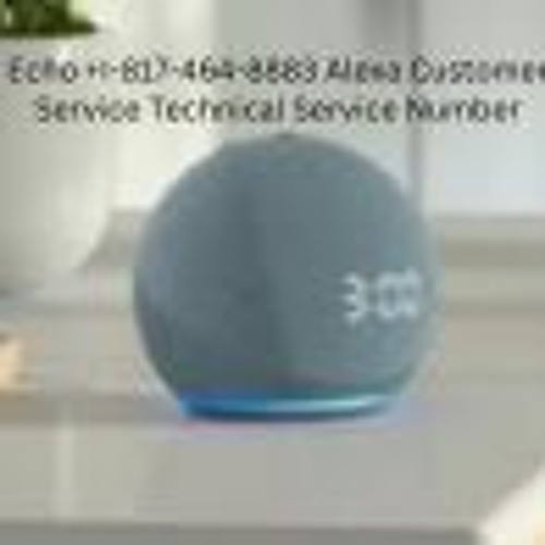 Stream Echo Dot Won't Connect To WiFi During Setup by Alexa Customer ... Stream Echo Dot Won't Connect To WiFi During Setup by Alexa Customer ...