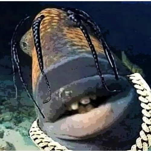 Stream episode Pufferfish feat. Travis Scott fish - going fishomode by ...