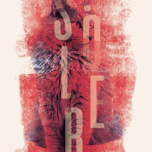 Stream "Cover Crazy" Willie Nelson & Patsy Cline by solerdelaprada ...