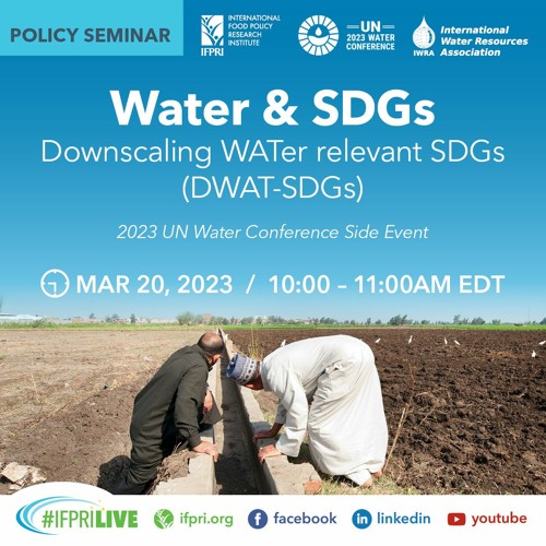 Stream episode Water & SDGs - Downscaling WATer relevant SDGs (DWAT-SDGs) by International Food ...