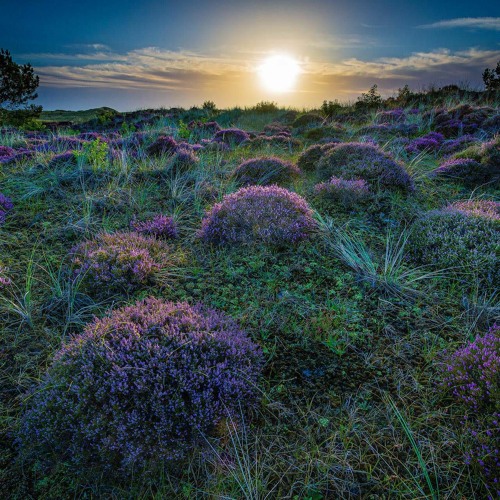 Stream episode Gedicht In Verbinding by Dunjavanklaveren podcast ...