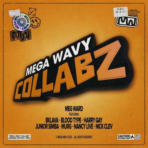 Stream Meg Ward + Blood Type - Hold Tight by Mega Wavy | Listen online ...