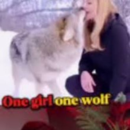 Stream Watch Video of one girl one wolf, pastor daughter viral video ...