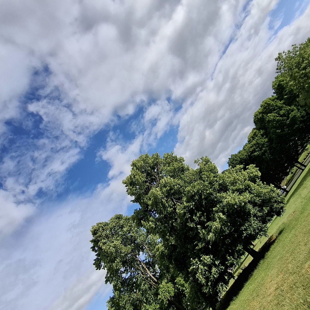 Listen to Jiandro - Confess your love by ️ in hoodrap playlist online ...