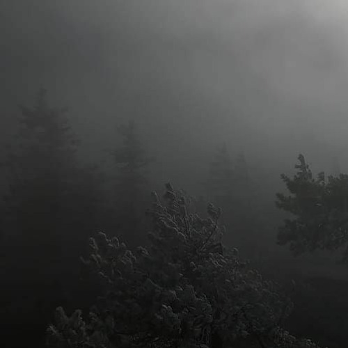 Stream everyday (12-30-20) ominous background ambience by standingwave ...
