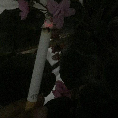 Stream Hoe (OG Version 2020 / Unreleased) by ♡ andyrare old tracks ...