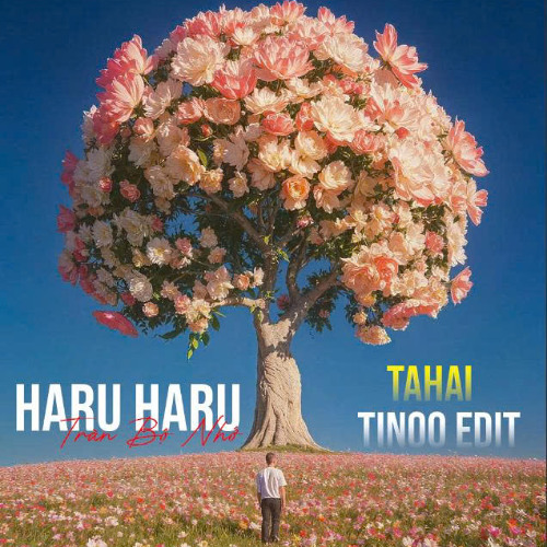 Stream Haru Haru X Tràn Bộ Nhớ - Tahai (Tinoo Fix) by DJ Tinoo | Listen ...