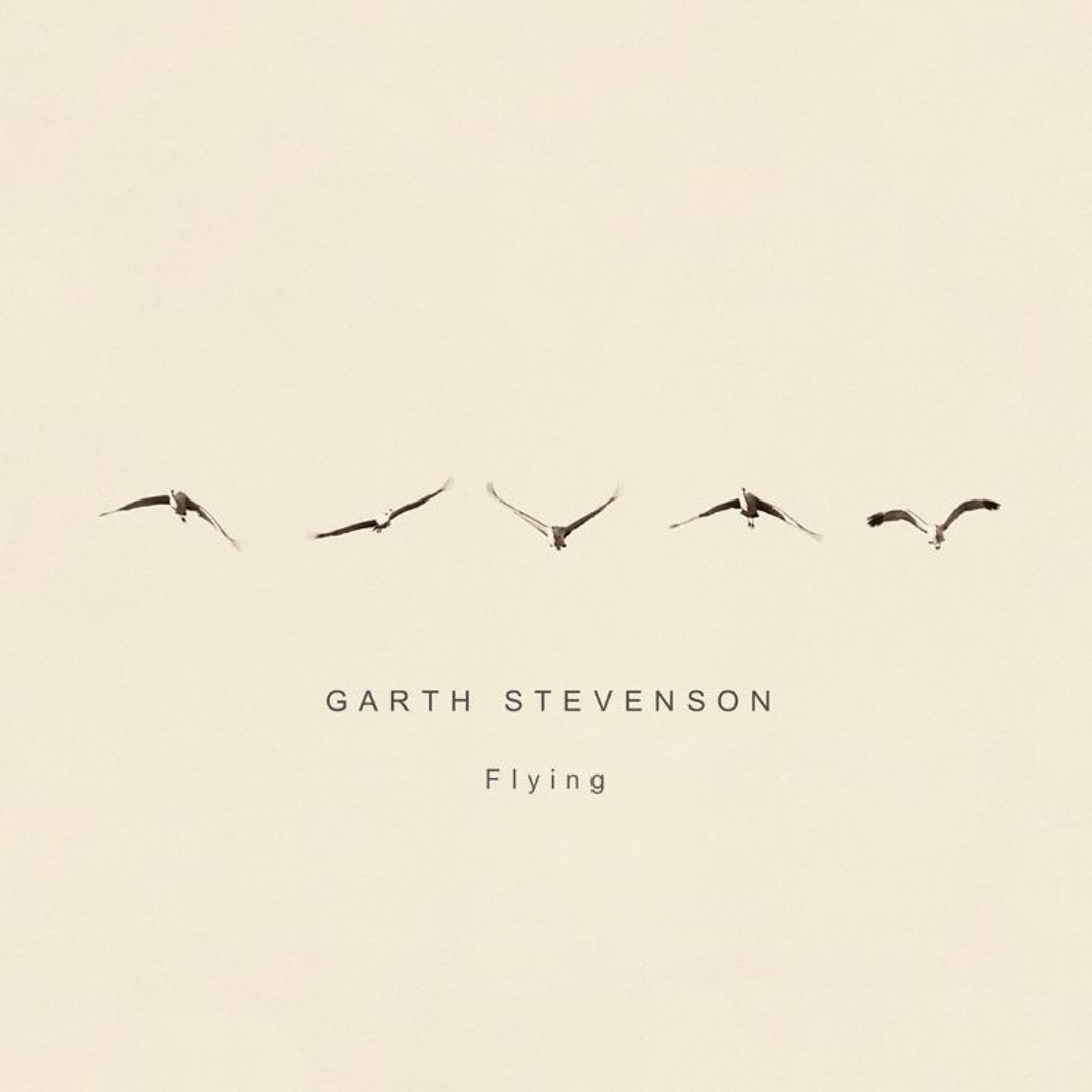Stream Garth Stevenson - Flying by JuhUSee | Listen online for free on ...
