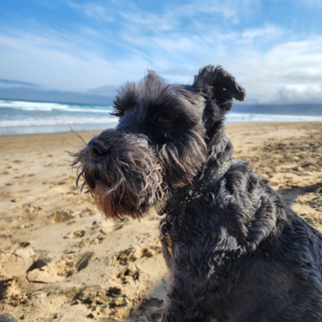 Stream Noodle by Steve Matthews | Listen online for free on SoundCloud